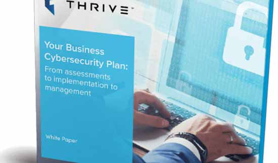 Your Business Cyber Security Plan - Thrive